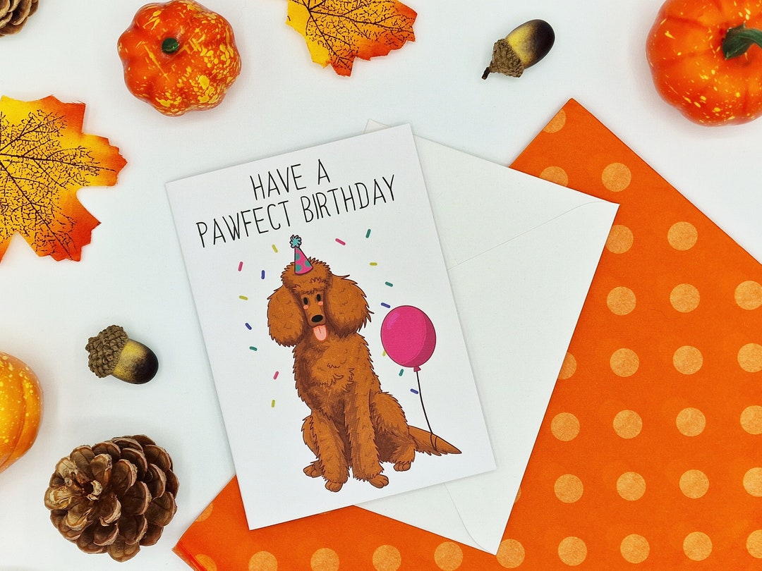 Have A Pawfect Birthday Happy Birthday Poodle Birthday Cards Choc ...