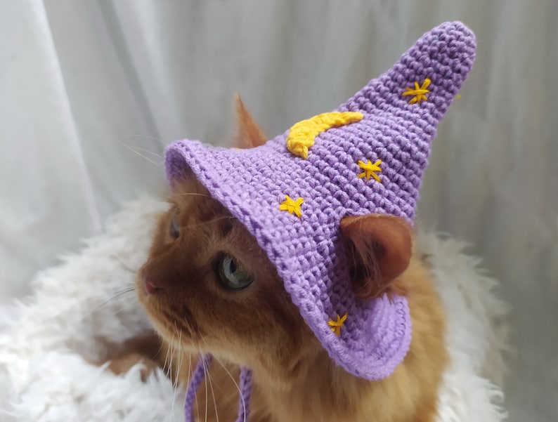 Wizard Hat for Cat Wizard Pet Hat Small Dog Hat Gift for - Etsy