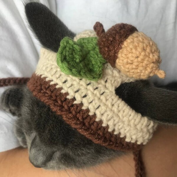 Small Dog Hat - Etsy