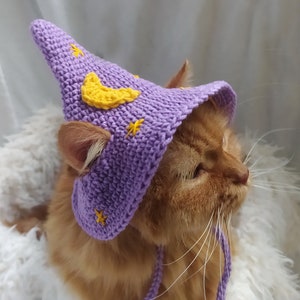Wizard Hat for Cat Wizard Pet Hat Small Dog Hat Gift for - Etsy