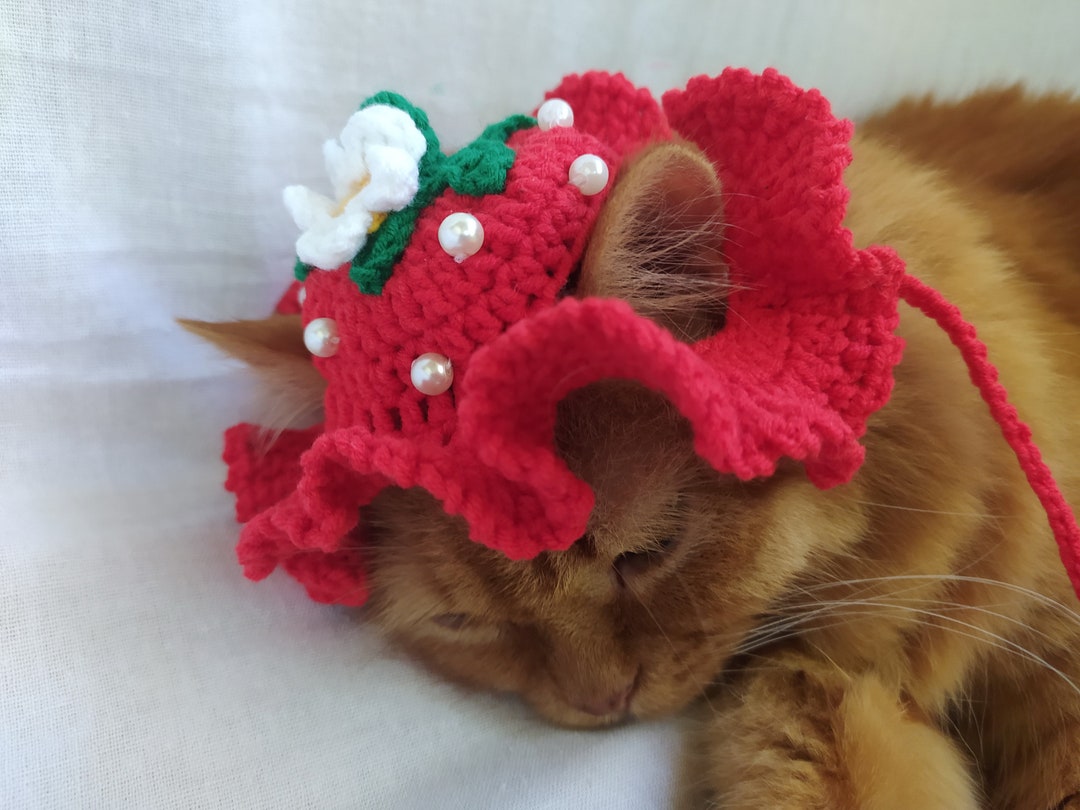 Strawberry Hat for Cat Funny Cat Hat Small Dog Hat Gift for - Etsy