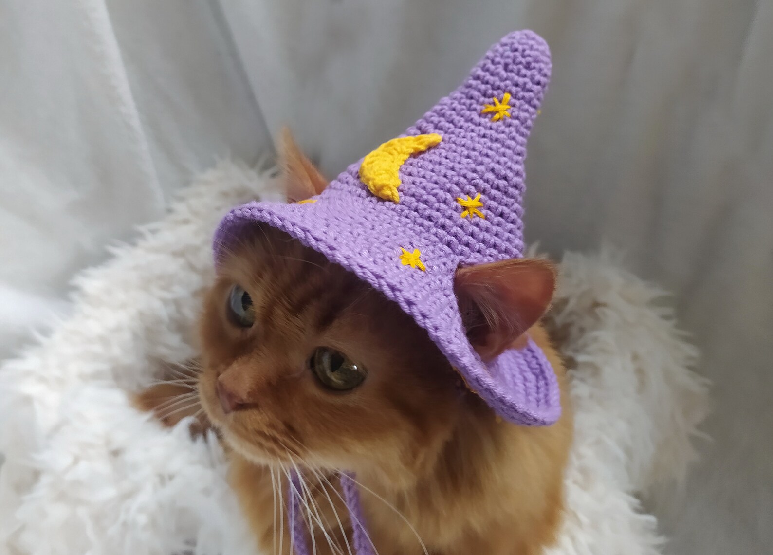 Wizard Hat for Cat Wizard Pet Hat Small Dog Hat Gift for - Etsy