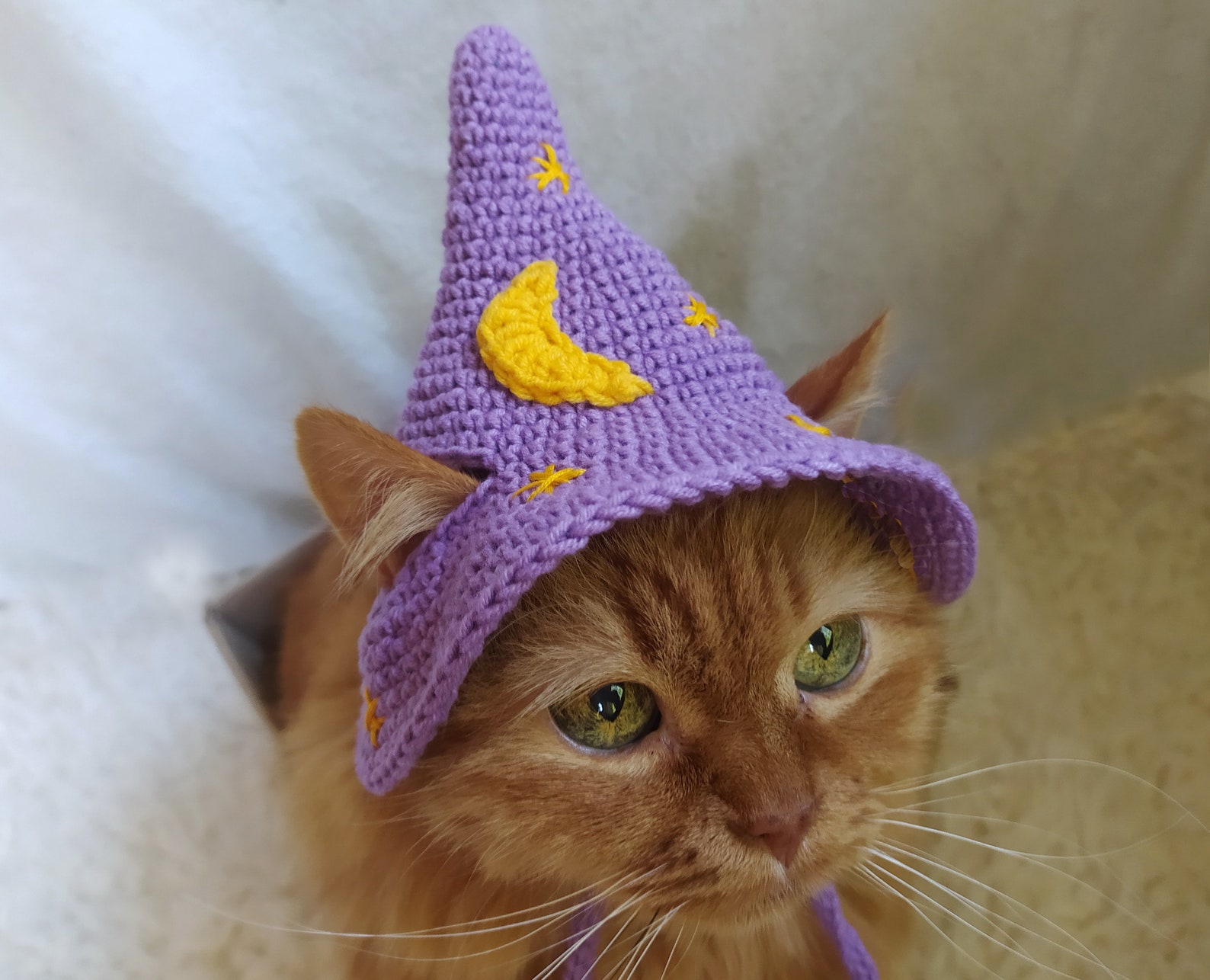 Wizard Hat for Cat Wizard Pet Hat Small Dog Hat Gift for - Etsy