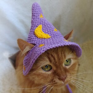 Wizard Hat for Cat Wizard Pet Hat Small Dog Hat Gift for - Etsy
