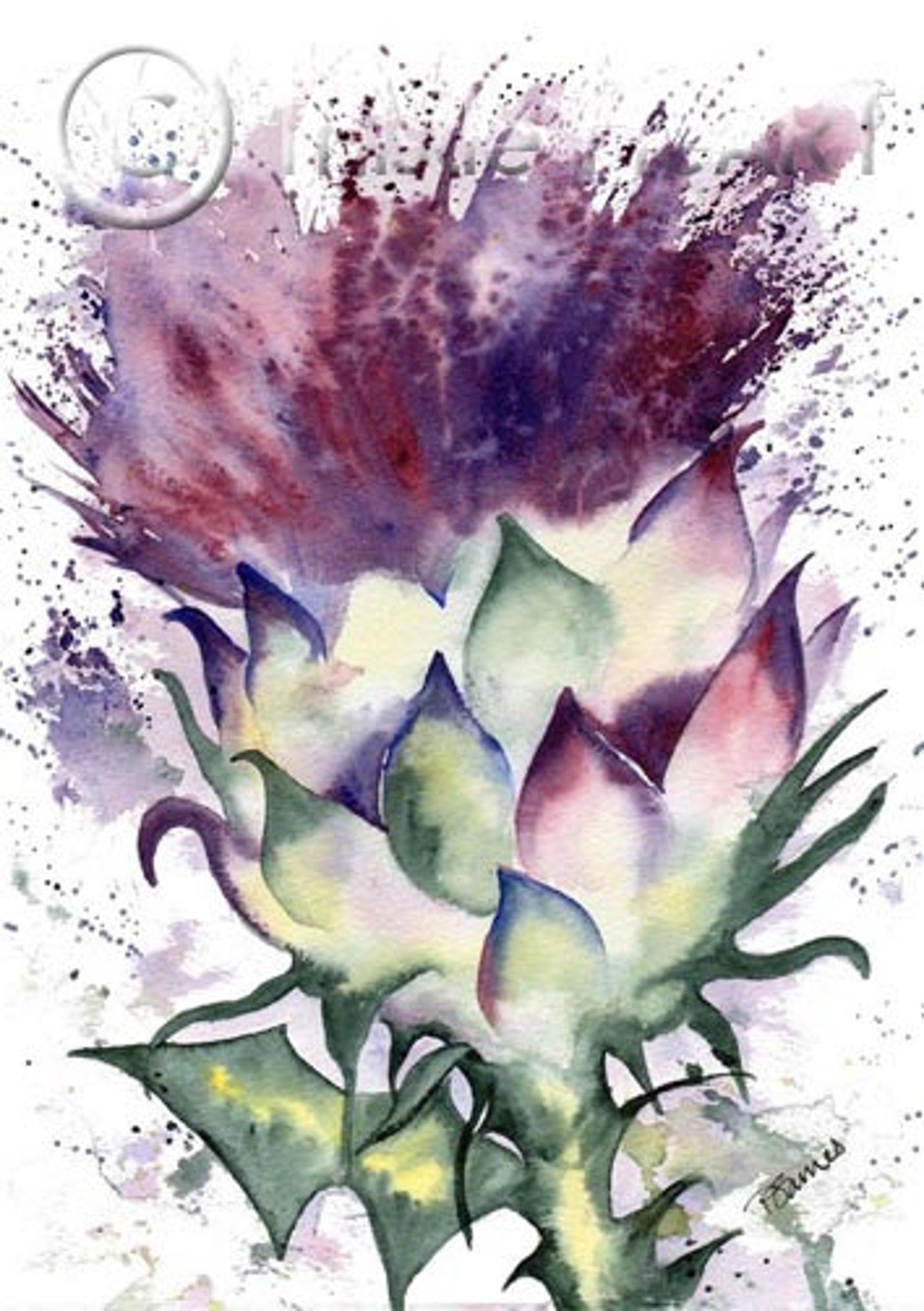 SCOTTISH THISTLE Scotland Art Print of Original Watercolour - Etsy