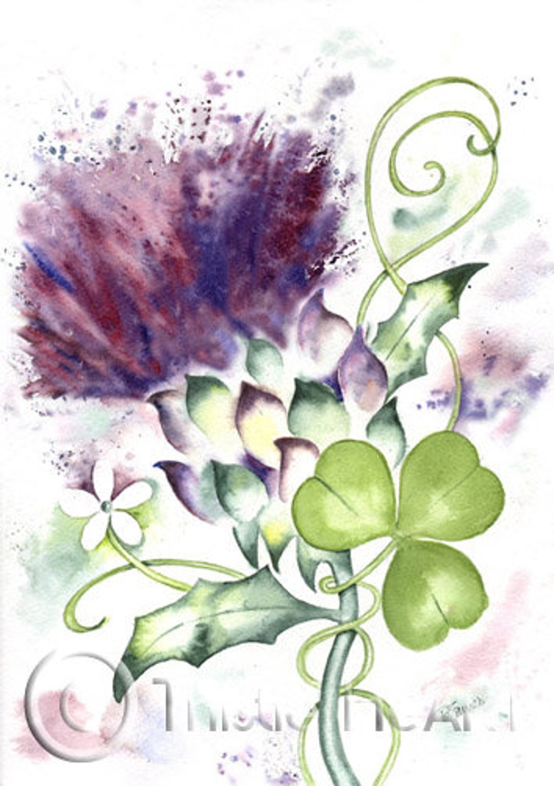THISTLE SHAMROCK Scotland Ireland Art Print of Original Watercolour ...