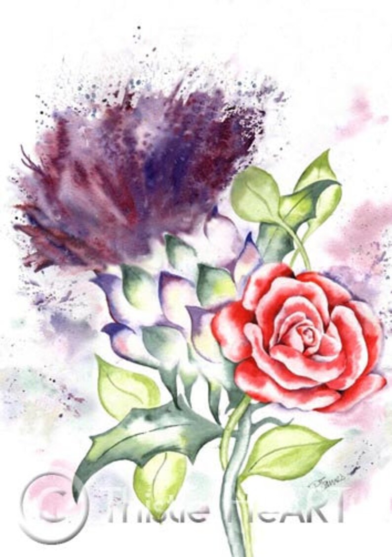 THISTLE RED ROSE A4 or A3 Print - Scotland & England - Art Print of ...