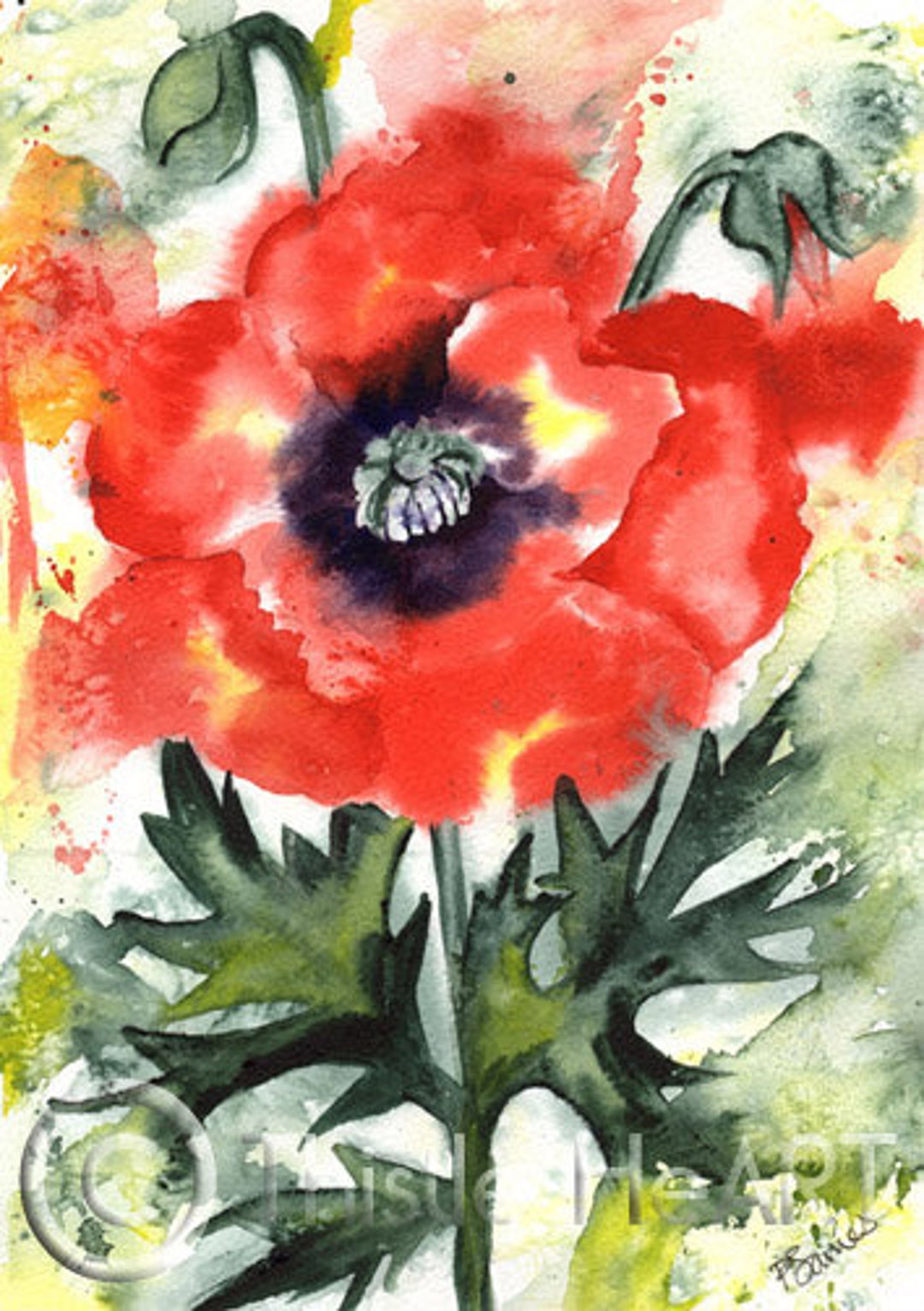 POPPY SPLASH Art Print of Original Watercolour Painting Poppies ...