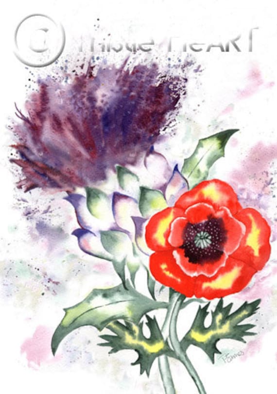 THISTLE POPPY Scotland Art Print of Original Watercolour | Etsy UK