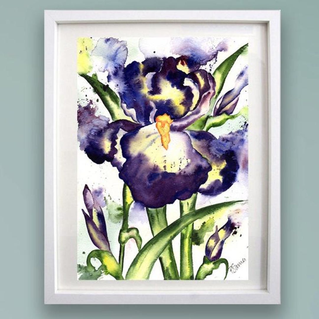 IRIS SPLASH A4 or A3 Print - Art Print of Original Scottish Watercolour ...