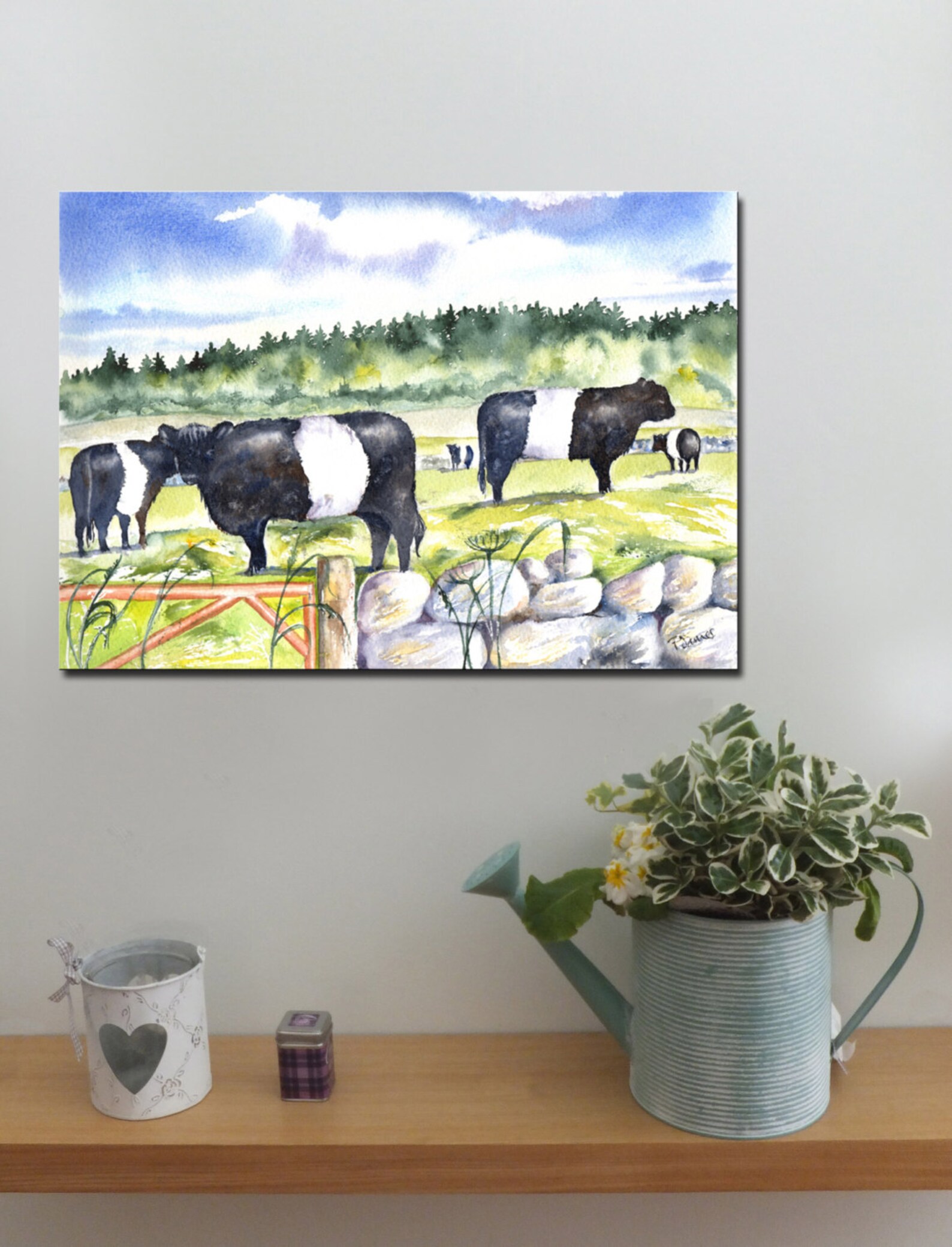 BELTED GALLOWAY WALL Scotland Art Canvas Print of Original Watercolour ...