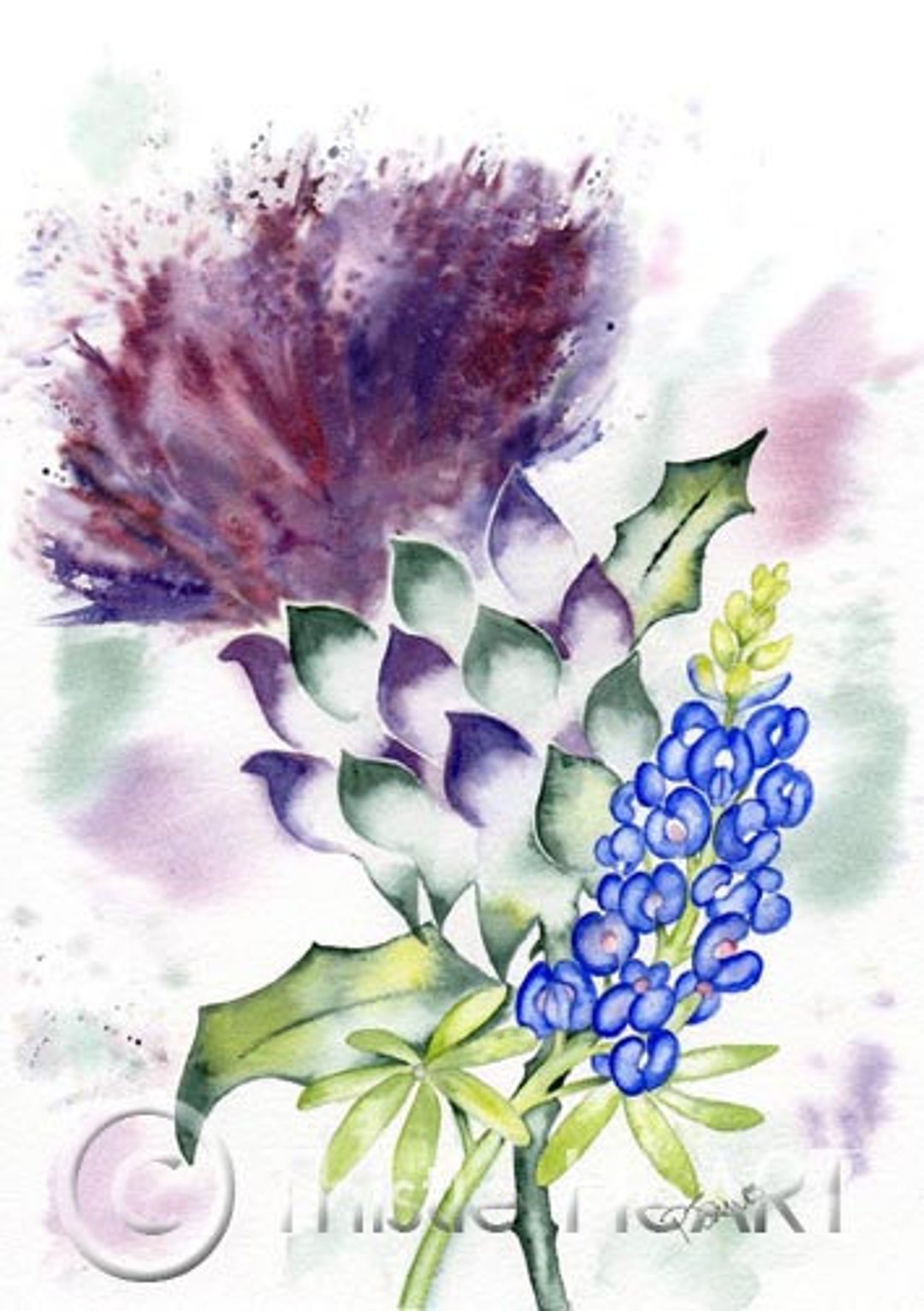 THISTLE BLUEBONNET Scotland Art Print of Original Watercolour Painting ...