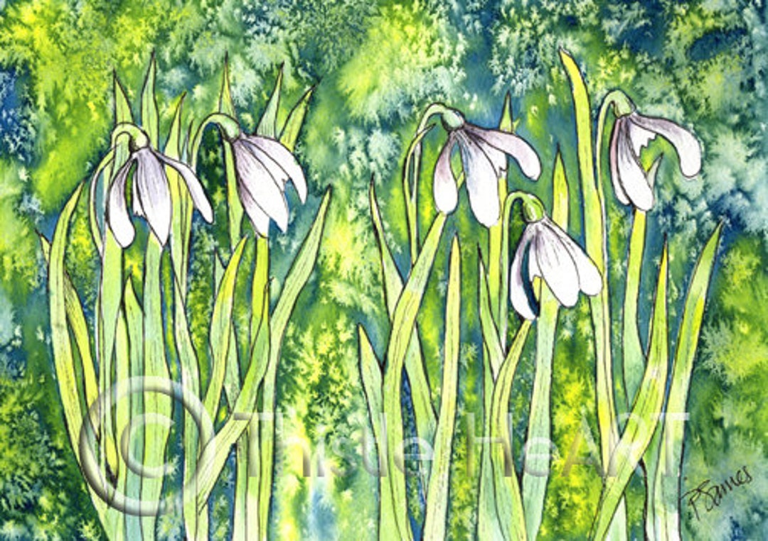 SNOWDROPS Art Print of Original Watercolour Painting Spring Flowers ...