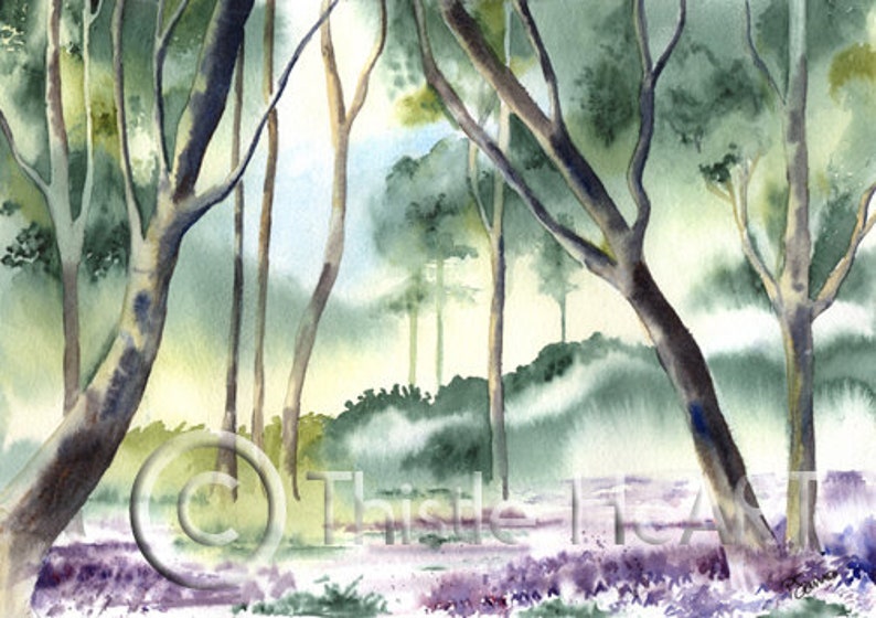 BLUEBELL WOODS Art Print of Original Watercolour Painting - Etsy UK