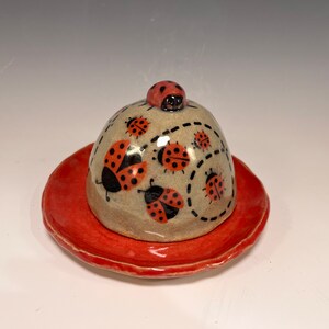 Ladybug Dish, Covered Dish, Hand Made Please Read Description - Etsy