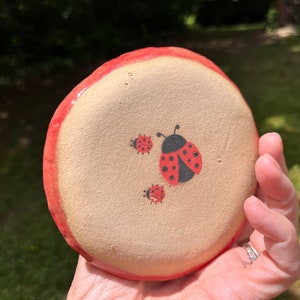 Ladybug Dish, Covered Dish, Hand Made Please Read Description - Etsy