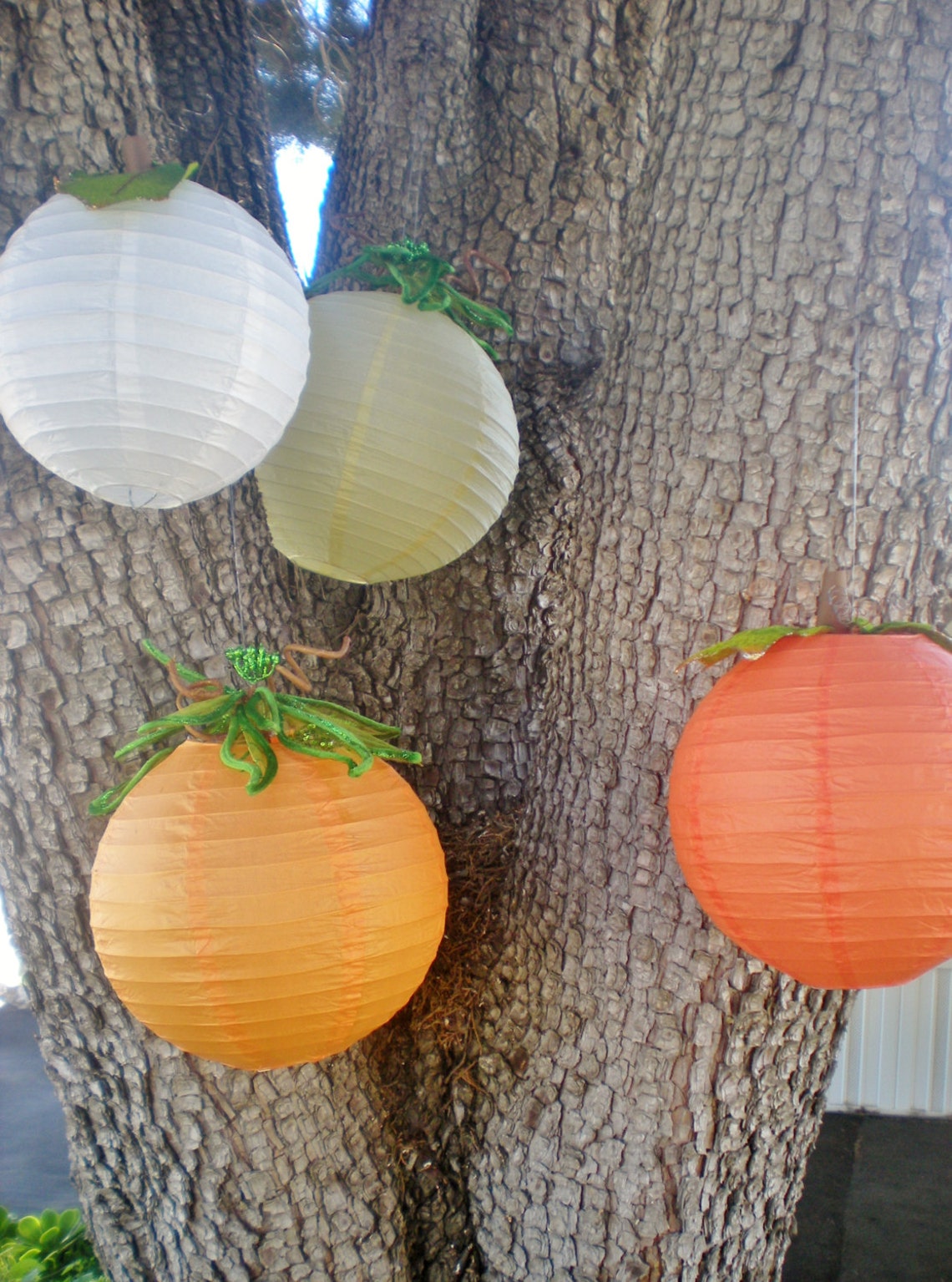 Fall Paper Lantern Set of 4 Pumpkin Lanterns, Orange, Yellow, Apricot ...
