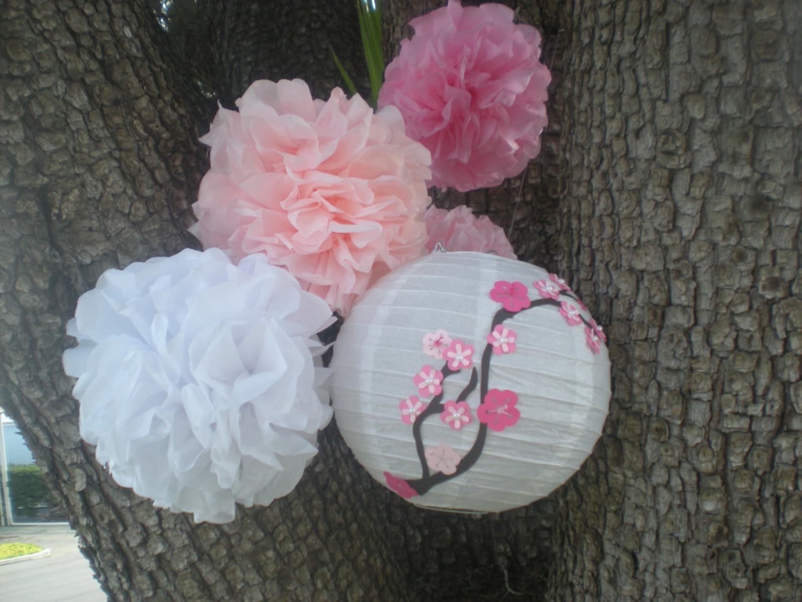 Cherry Blossom Paper Lantern and Pink and White Tissue Pom | Etsy