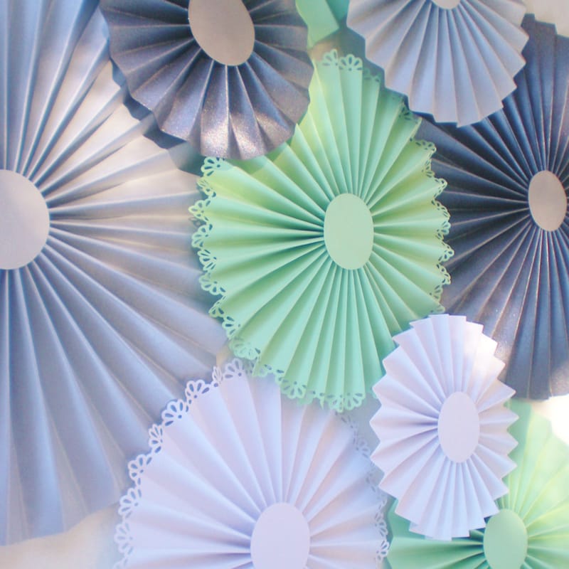 Rosette Backdrop - Etsy