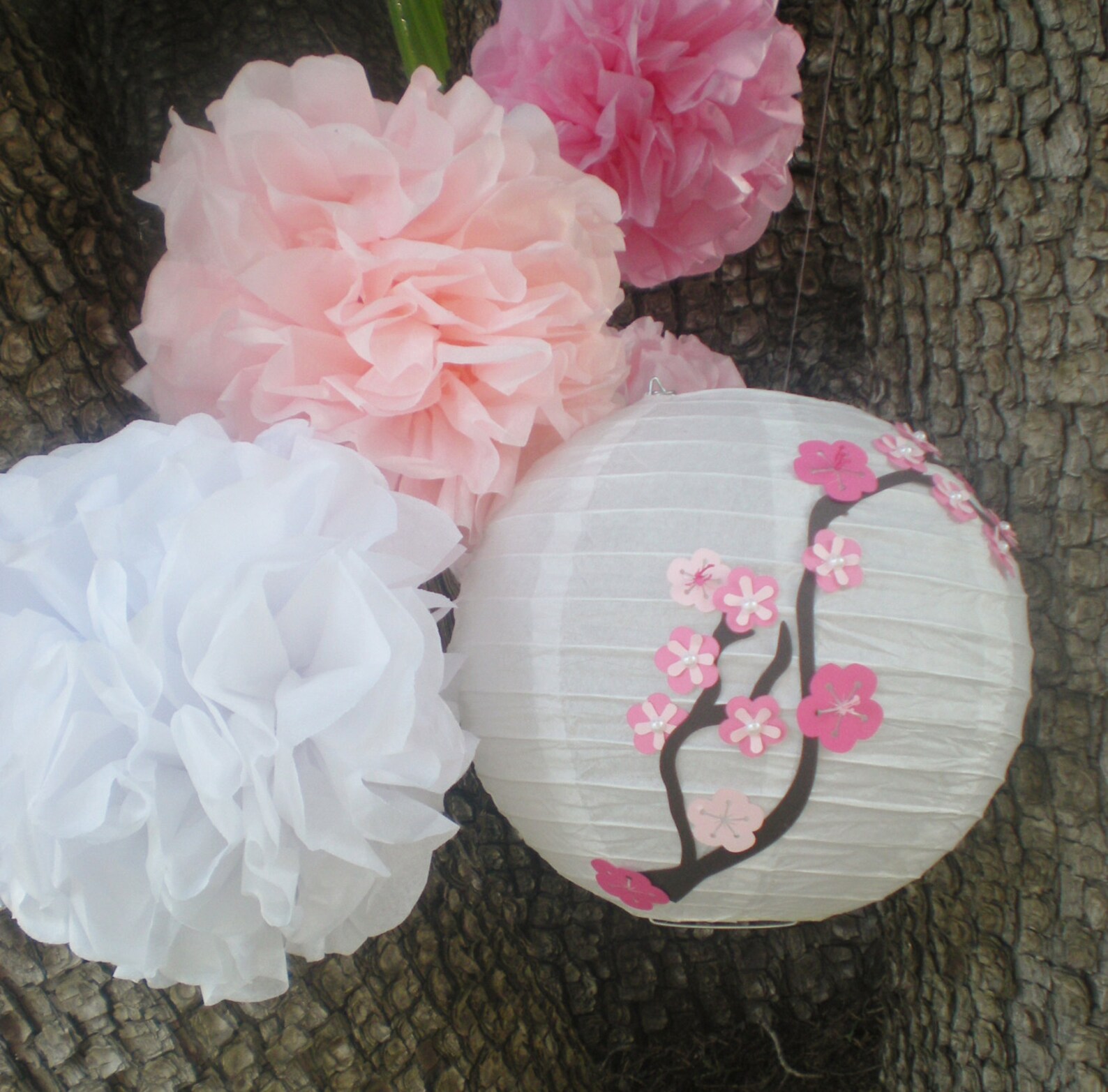 Cherry Blossom Paper Lantern and Pink and White Tissue Pom Poms for Tea ...