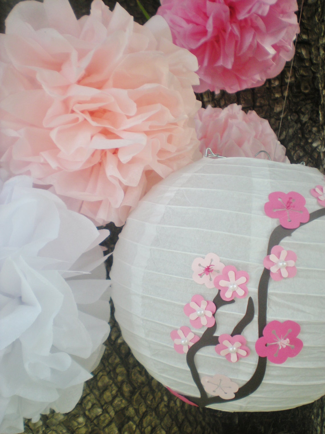 Cherry Blossom Paper Lantern and Pink and White Tissue Pom | Etsy