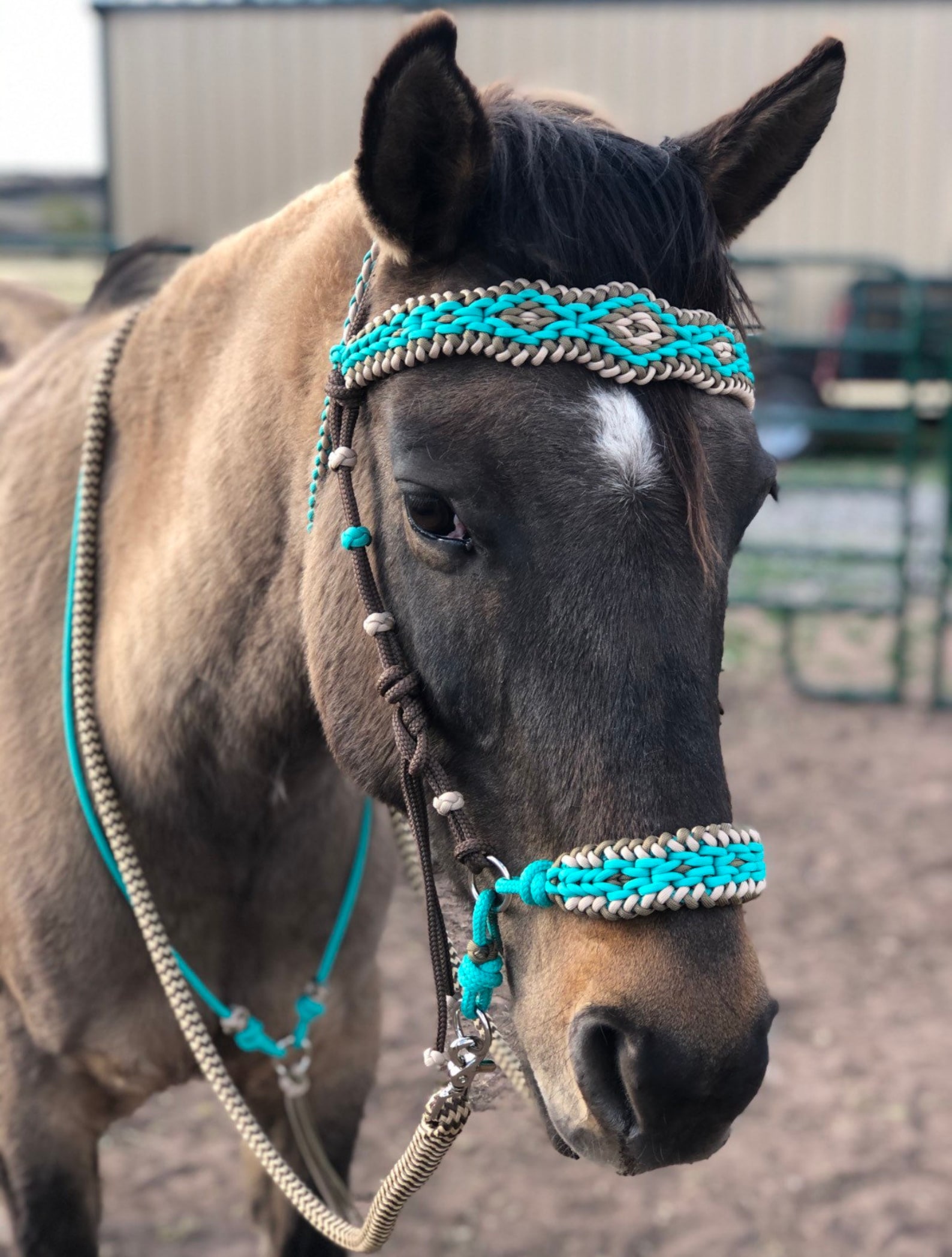 Soft Rope Liberty Bridleless Tackles Horse Riding Neck Rope | Etsy