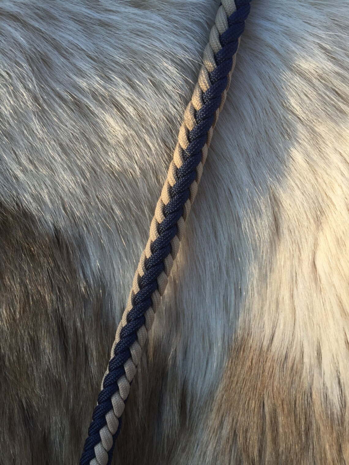 Square Braided Liberty Horse Neck Rope | Etsy