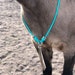 Soft Rope Liberty Bridleless Tackles Horse Riding Neck Rope With Fringe ...