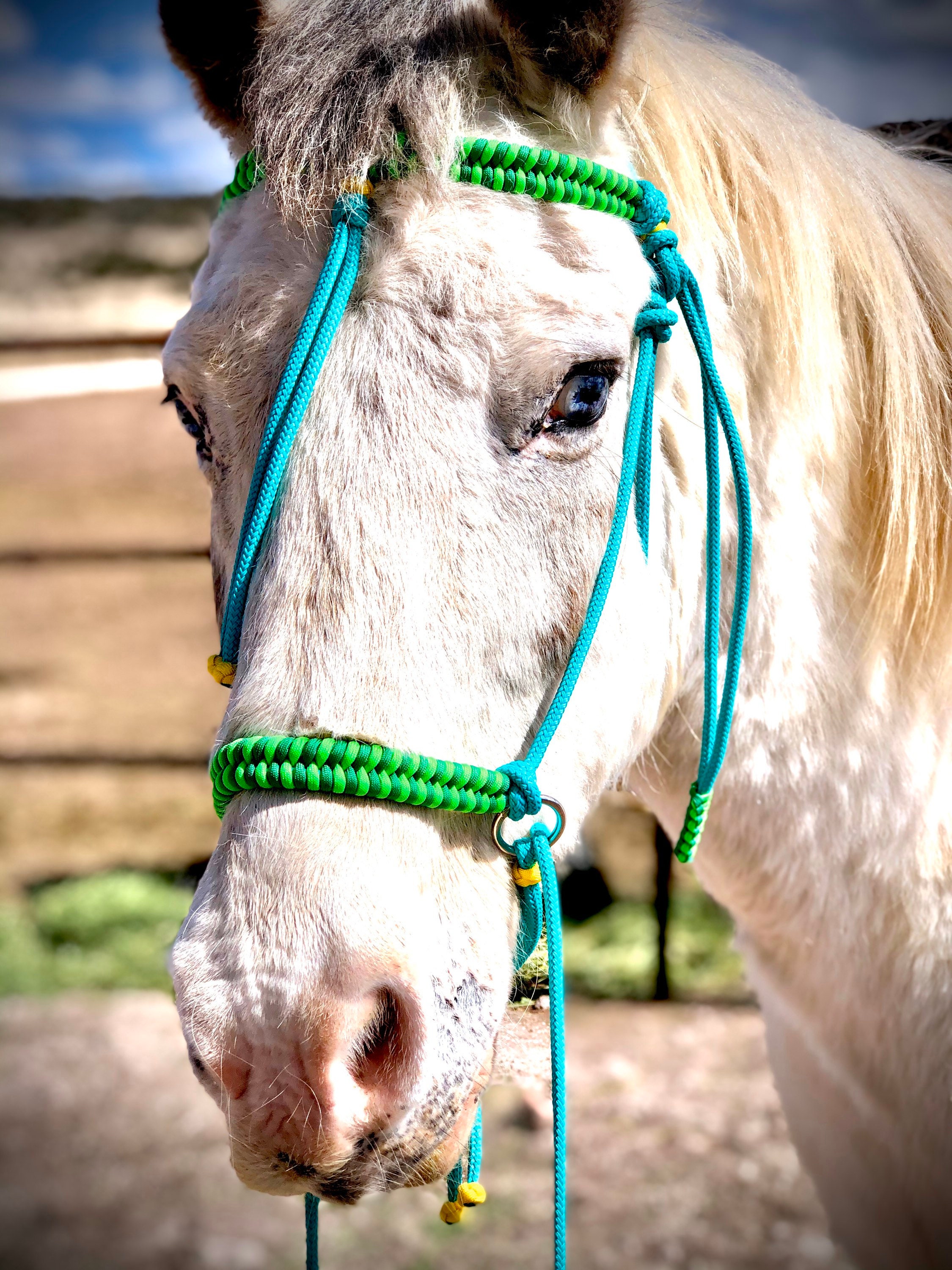 Soft Rope Cross Jaw Bitless Bridle Hackamore- Woven Paracord Overlay ...