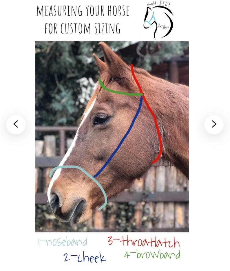 Complete Custom Rope Hackamore Set | Bosal + Mecate Reins + Bosal ...