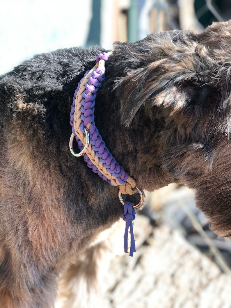 Adjustable Rope Dog Collar Chevron Braid Paracord Overlay | Etsy