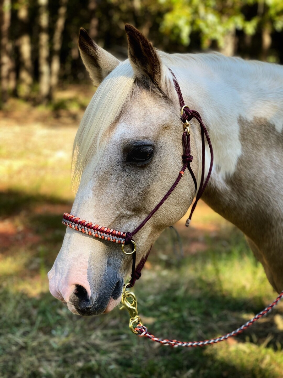 Everyday Soft Rope Halter With Sliding Ring and Matching Braided Lead ...