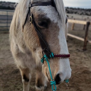 Knotted Stiff Rope Indian Hackamore Bitless Riding Attachment- Zigzag ...