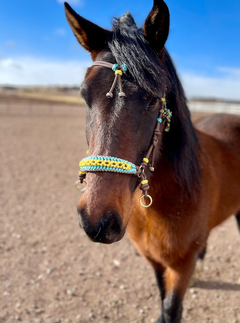 SUNFLOWER Knotted Soft Indian Hackamore Bitless Bridle - Etsy