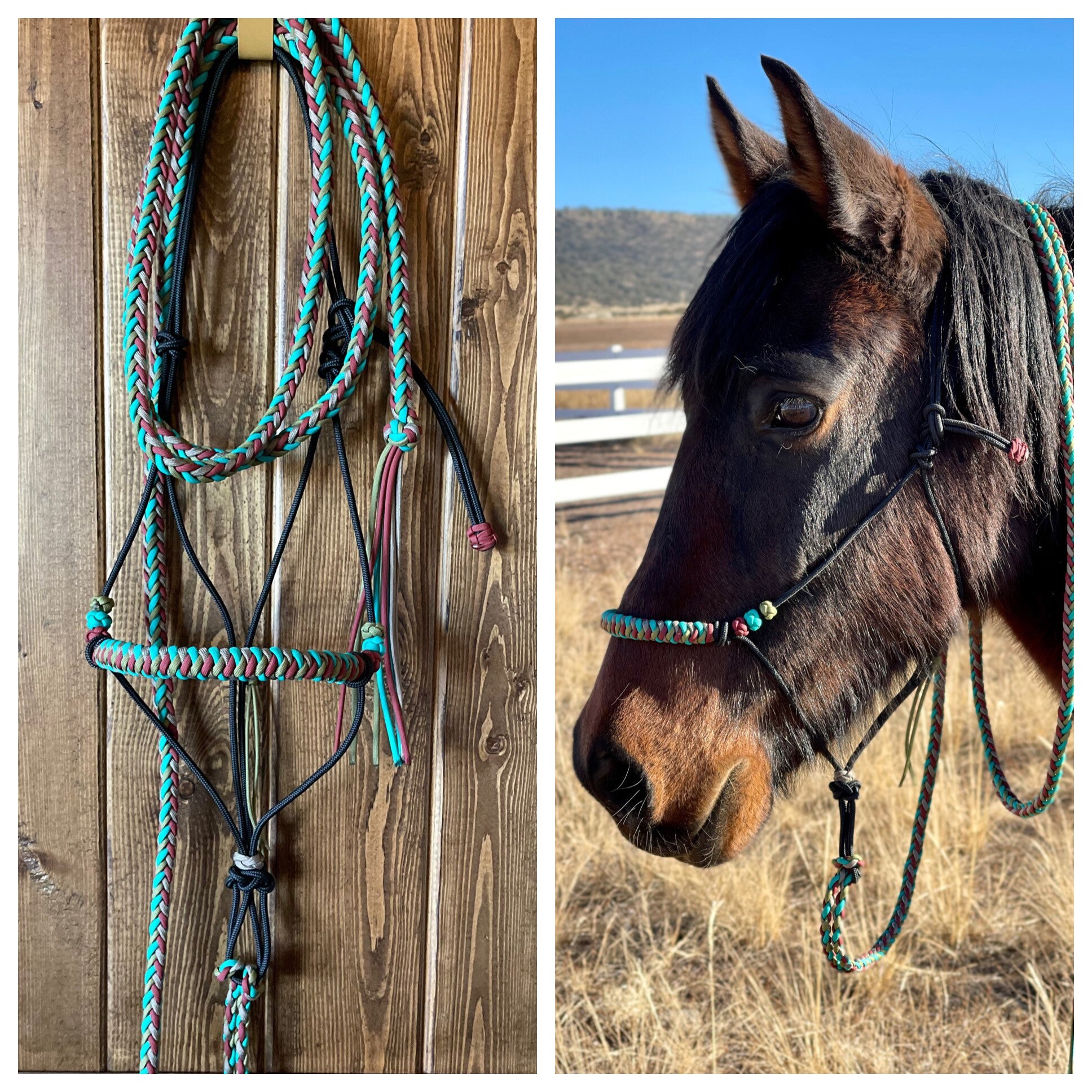 Thin stiff Rope Halter&Matching Lead-round braided noseband | Etsy