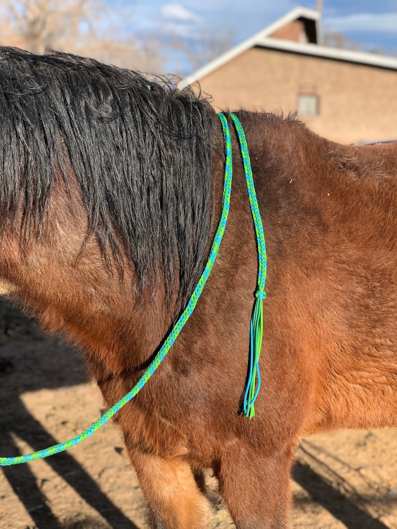 Square Braided Lead Rope | Etsy