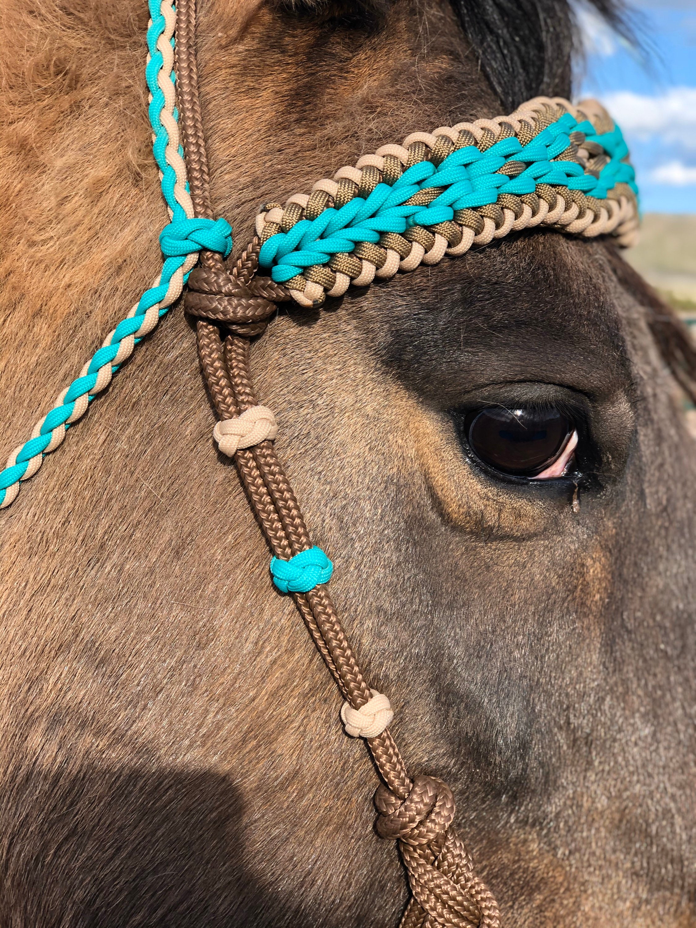 Knotted Soft Rope Chin Slip Hackamore Bitless Bridle for Horse | Etsy