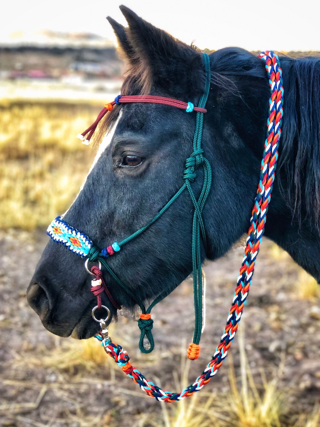 Soft Rope Halter Bitless Bridle Hackamore- Diamond Paracord Overlay ...
