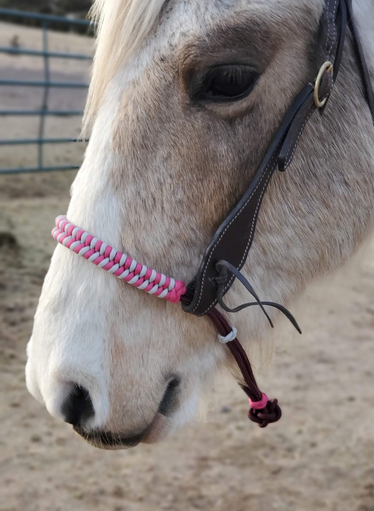 Knotted Rope Bosal Bitless Riding Attachment- Woven Overlay - Etsy