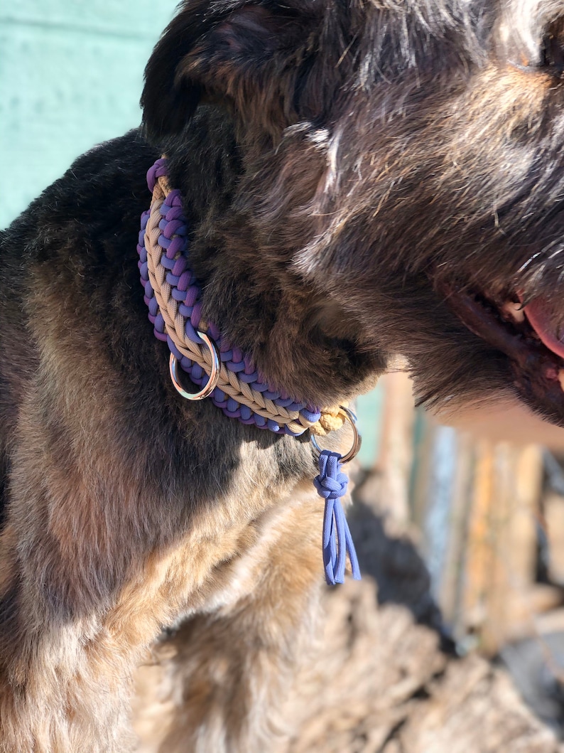 Adjustable Rope Dog Collar Chevron Braid Paracord Overlay - Etsy