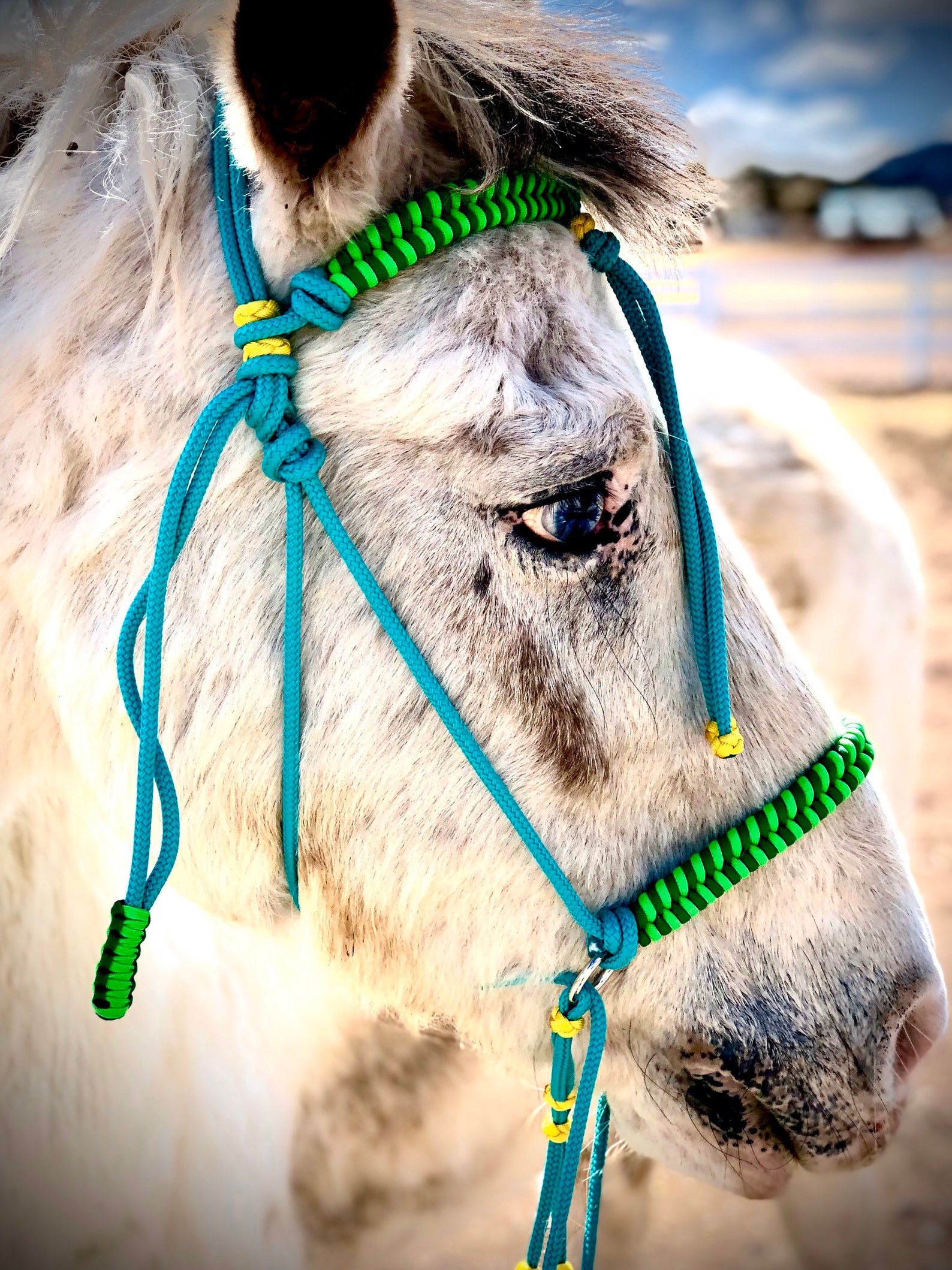 Soft Rope Cross Jaw Bitless Bridle Hackamore- Woven Paracord Overlay ...