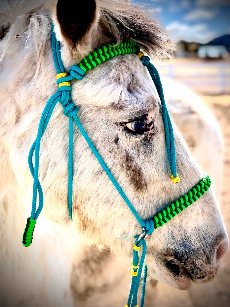 Soft Rope Cross Jaw Bitless Bridle Hackamore- Woven Paracord Overlay ...
