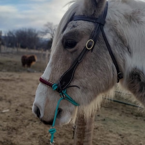 Knotted Stiff Rope Indian Hackamore Bitless Riding Attachment- Zigzag ...