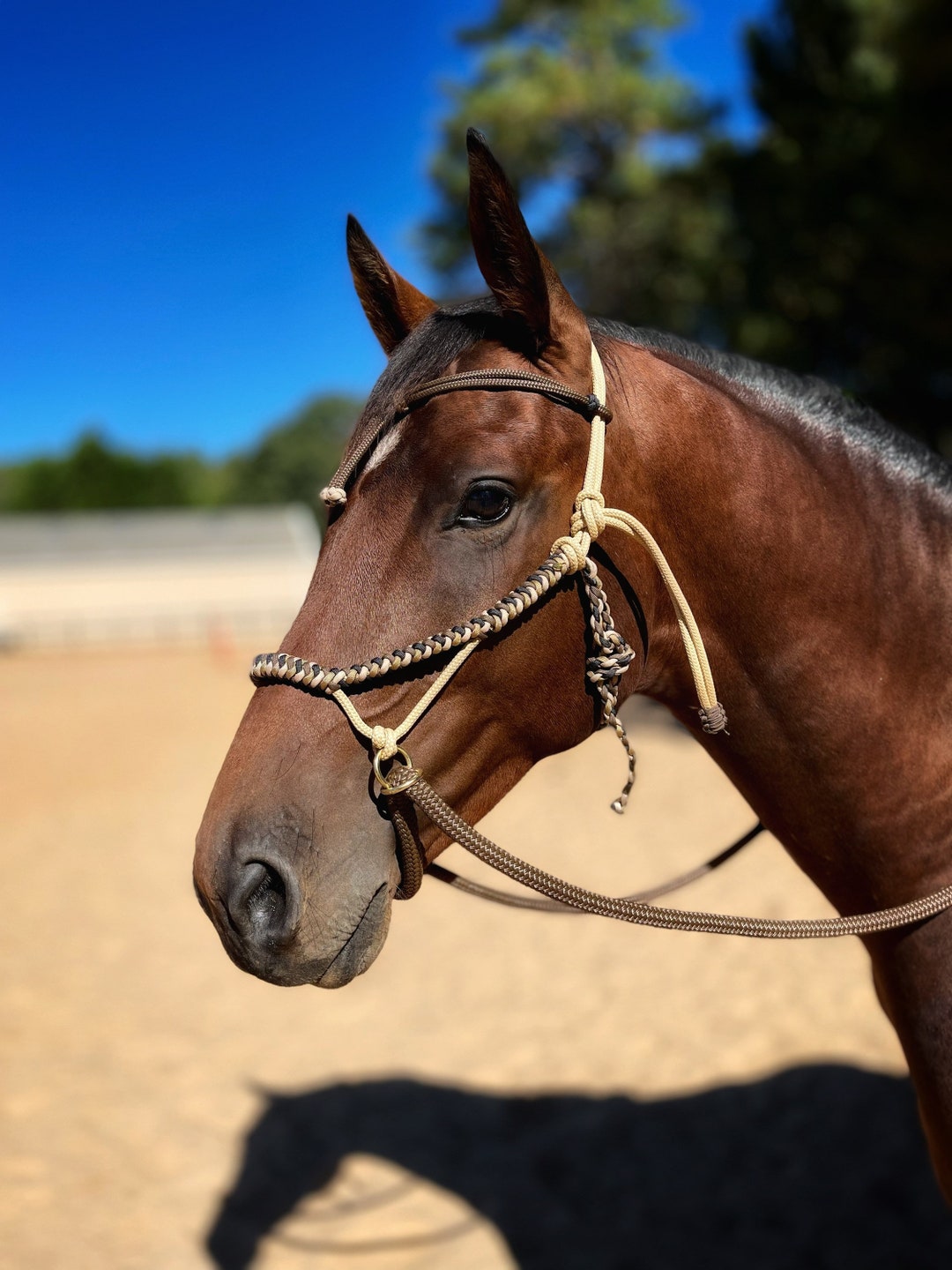 Soft Rope Bitless Bridle Loping Hackamore/ Sidepull Round Braided ...
