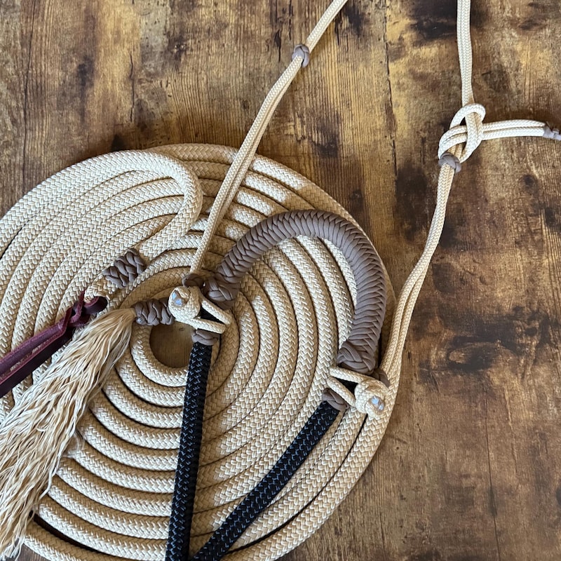 Hackamore and Bosal - Etsy