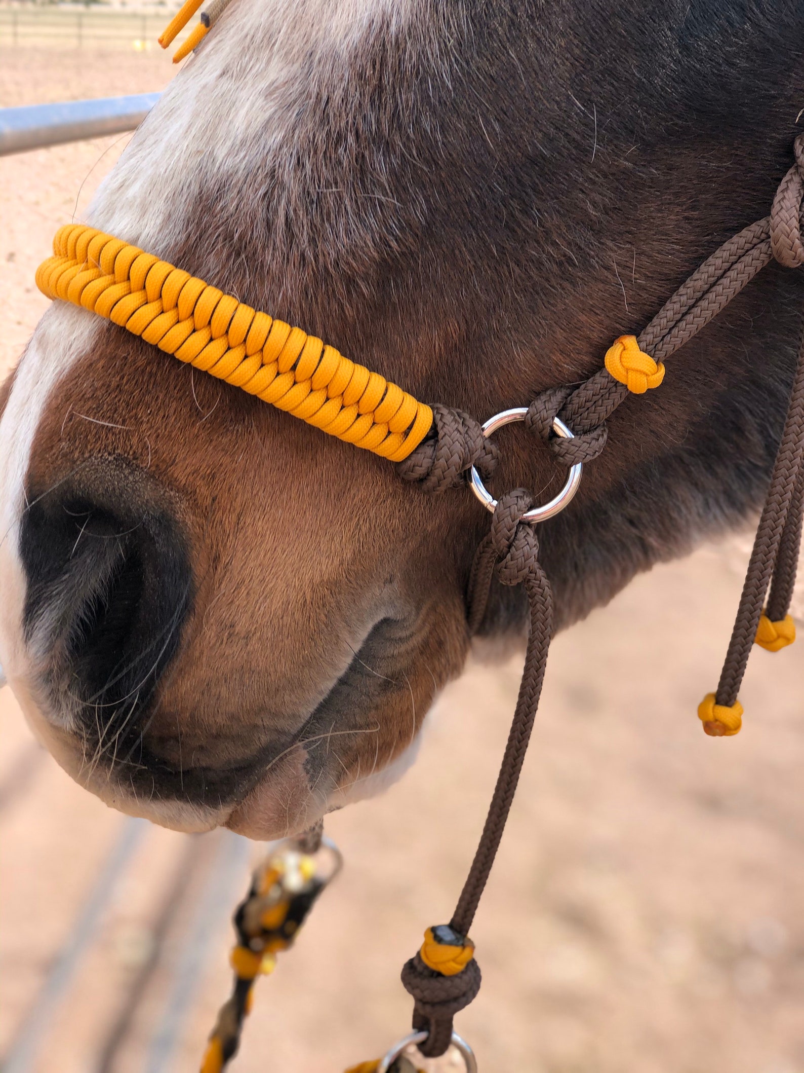 Knotted Soft Sidepull Hackamore Bitless Bridle Woven Paracord Overlay ...