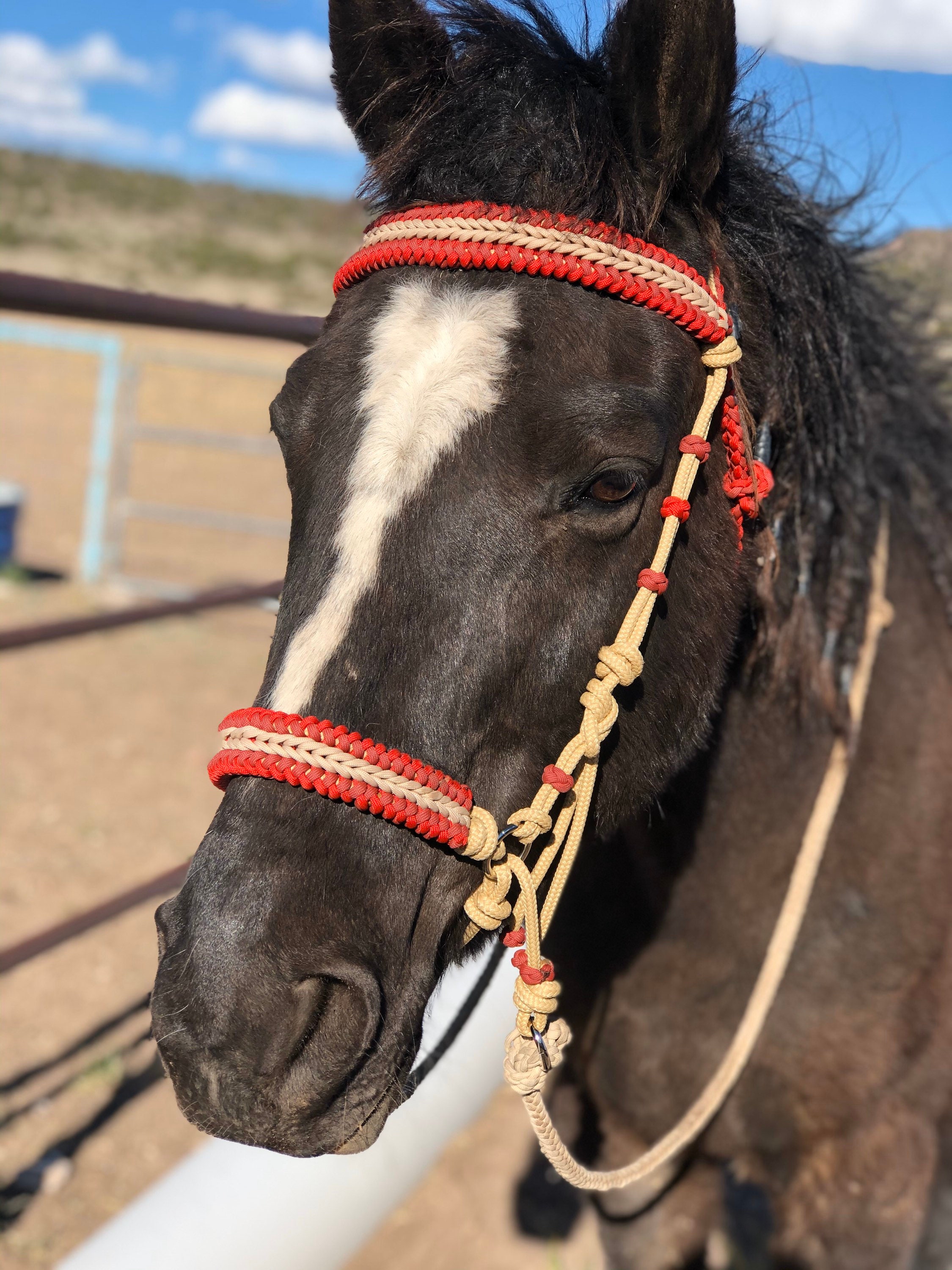 Knotted Soft Indian Hackamore Bitless Riding Adjunto Chevron - Etsy España