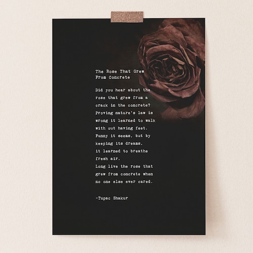 Tupac Print-the Rose That Grew From Concrete Inspired Print - Etsy