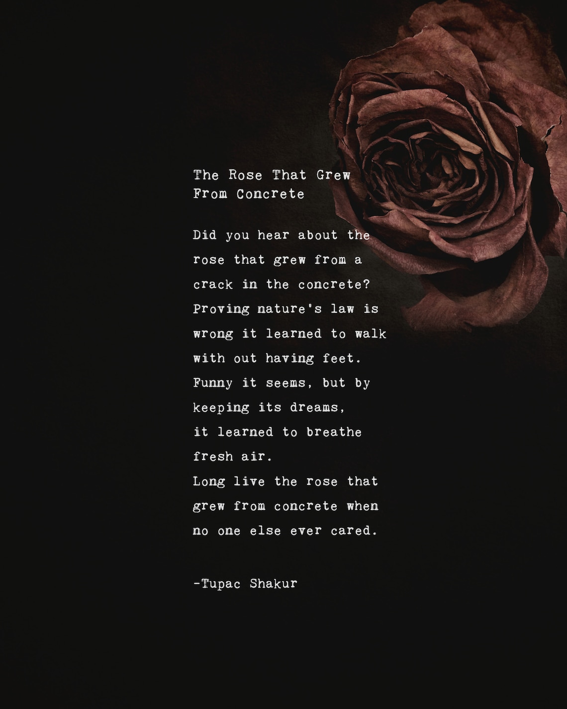 Tupac Shakur Poem the Rose That Grew From Concrete Poetry - Etsy Canada
