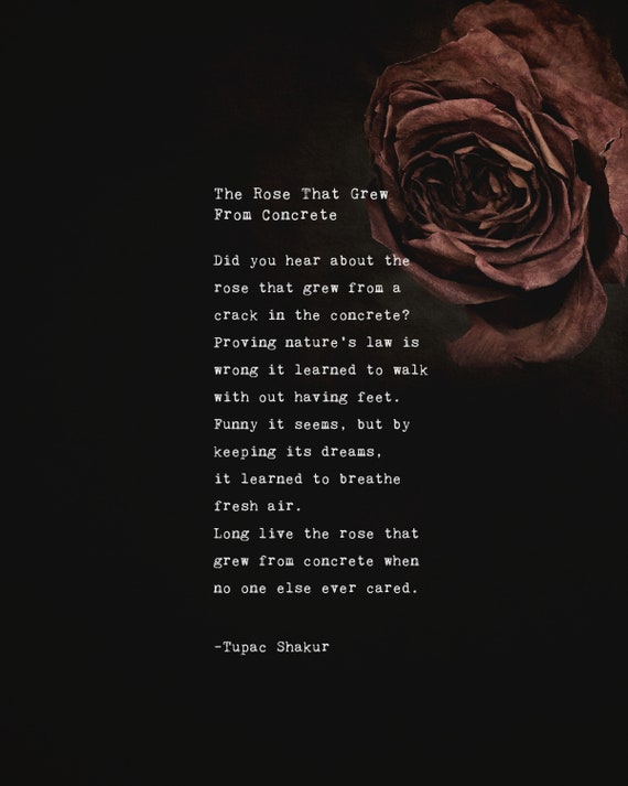 Tupac Poems And Quotes